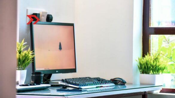Editar PDF online: guía práctica para principiantes - Mundo Ejecutivo